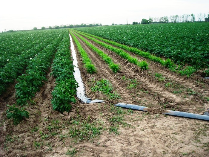 Irrigation valves and controllers - Lubbock, Texas