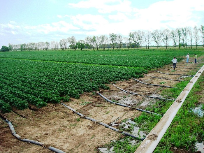 Irrigation valves and controllers - Lubbock, Texas